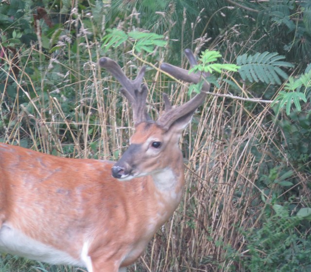 Walking into spider webs/screening phone calls | NEWFAZE